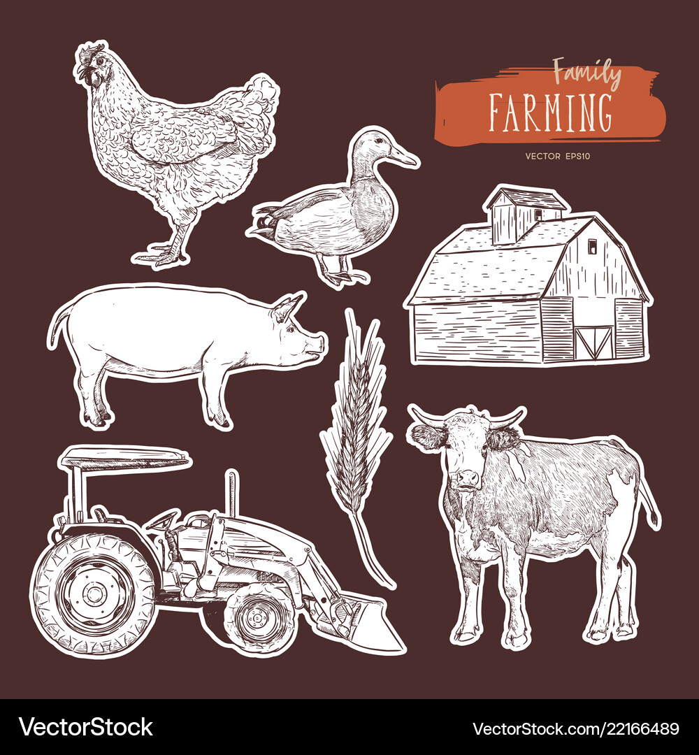 Farm set hand drawn Royalty Free Vector Image - VectorStock