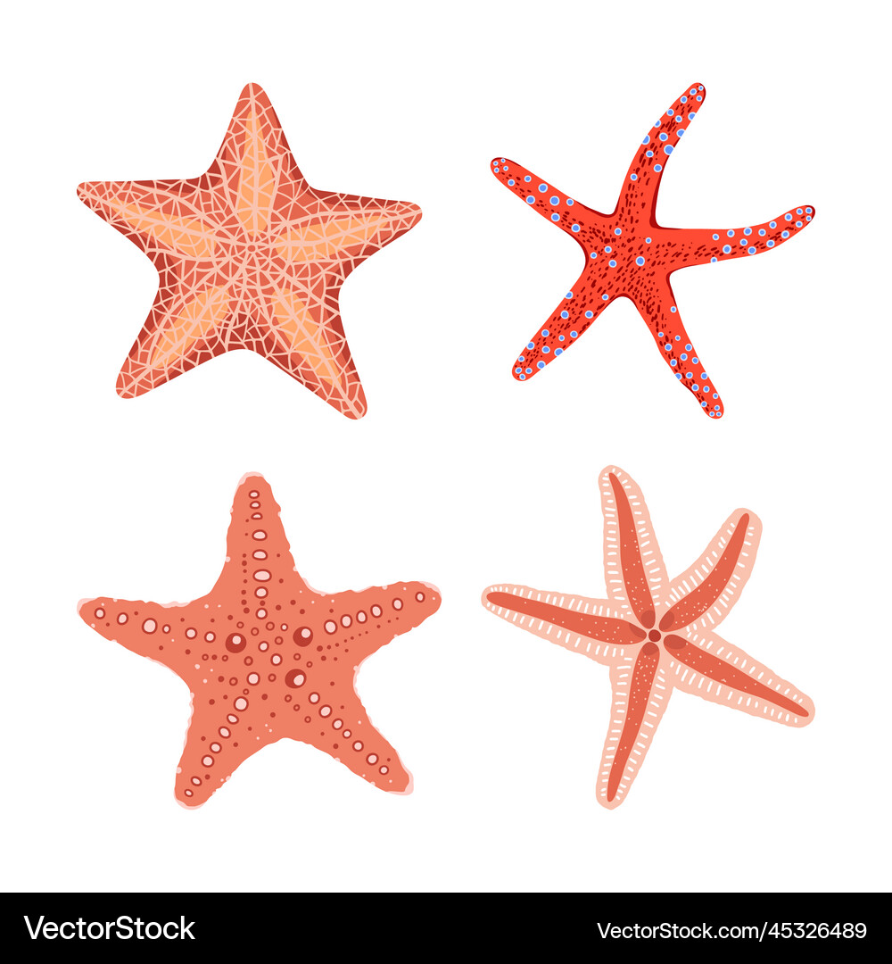 Hand drawn colorful starfish set Royalty Free Vector Image