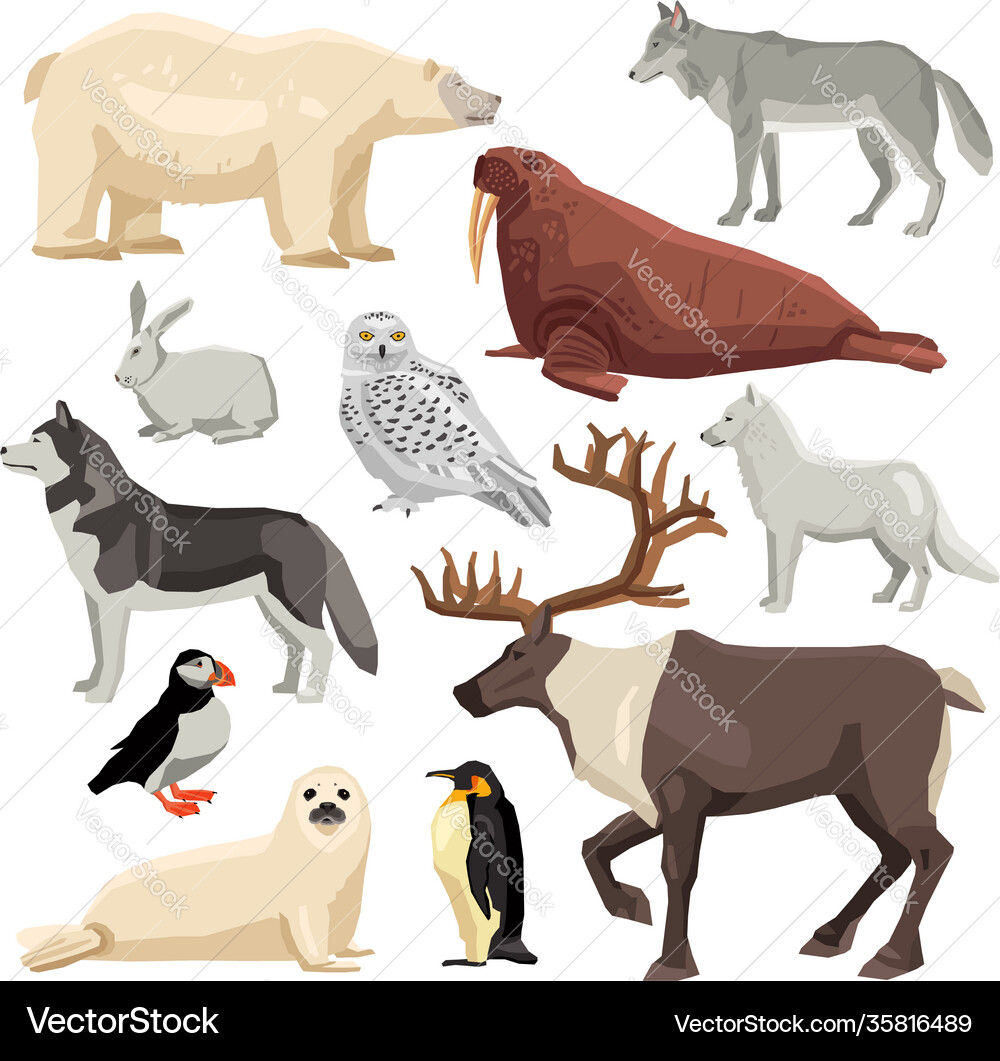 Polar animals set Royalty Free Vector Image - VectorStock