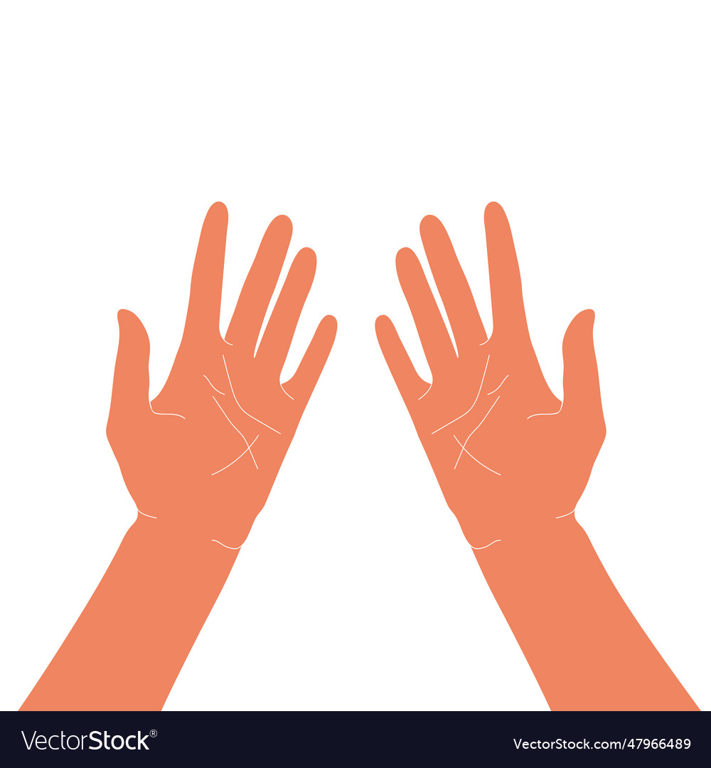 Top view on two hands palms up isolated on white Vector Image Top view on two hands palms up isolated on white Vector Image