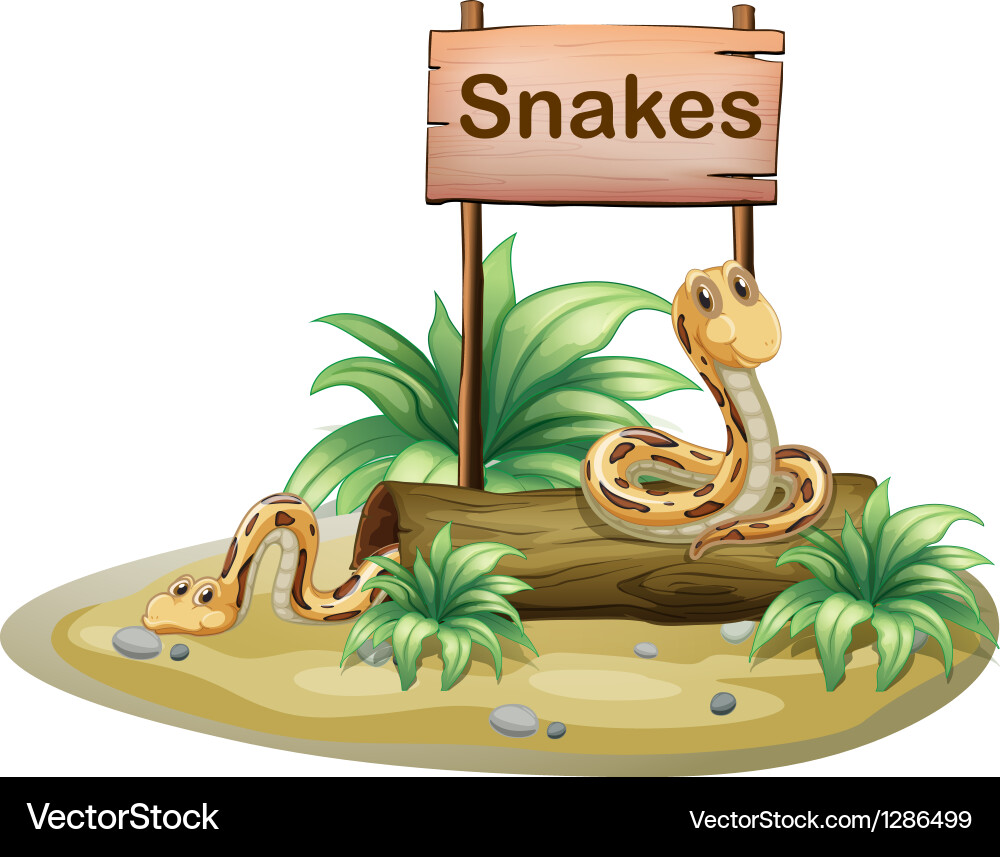 A wooden signboard with snakes Royalty Free Vector Image