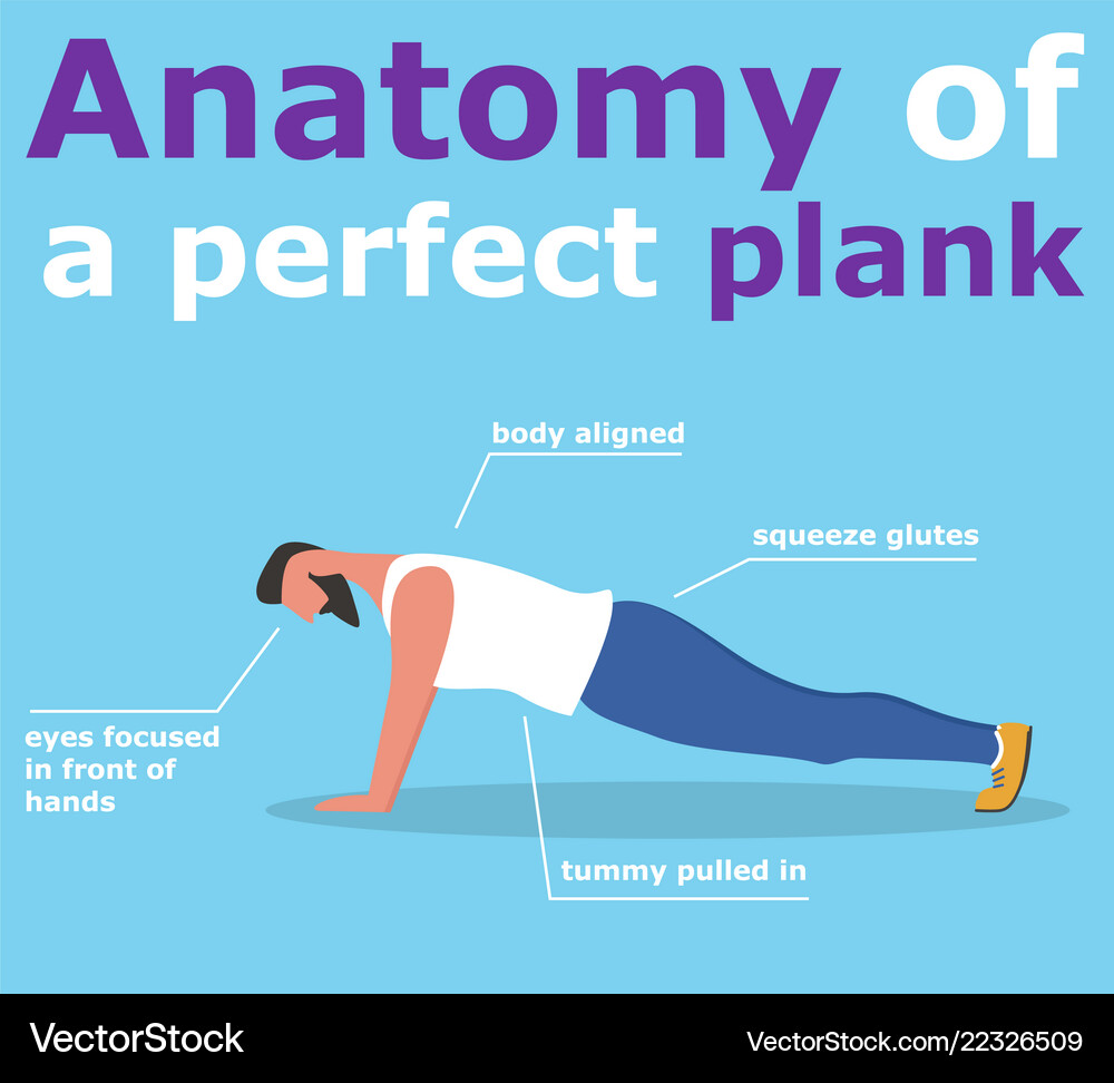 Perfect Plank Exercise Banner Royalty Free Vector Image
