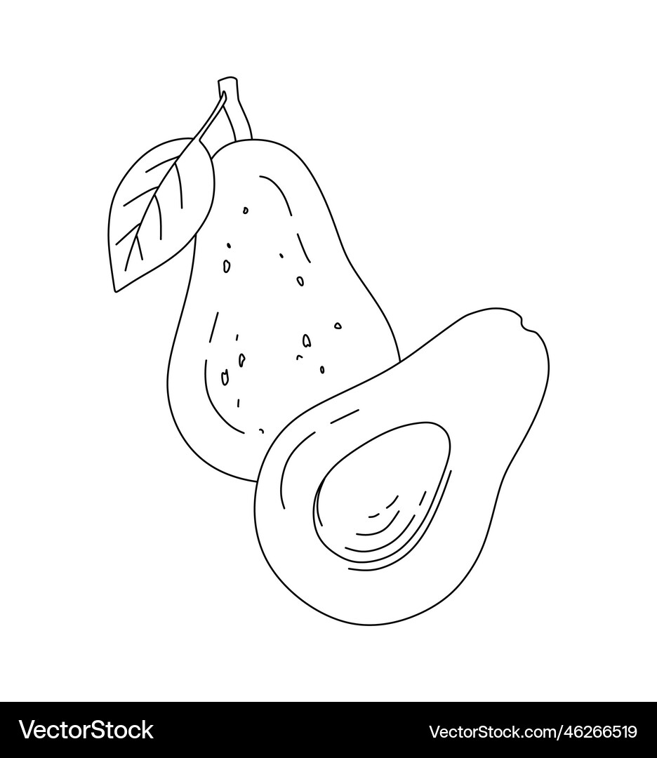 Avocado doodle coloring book for kids Royalty Free Vector