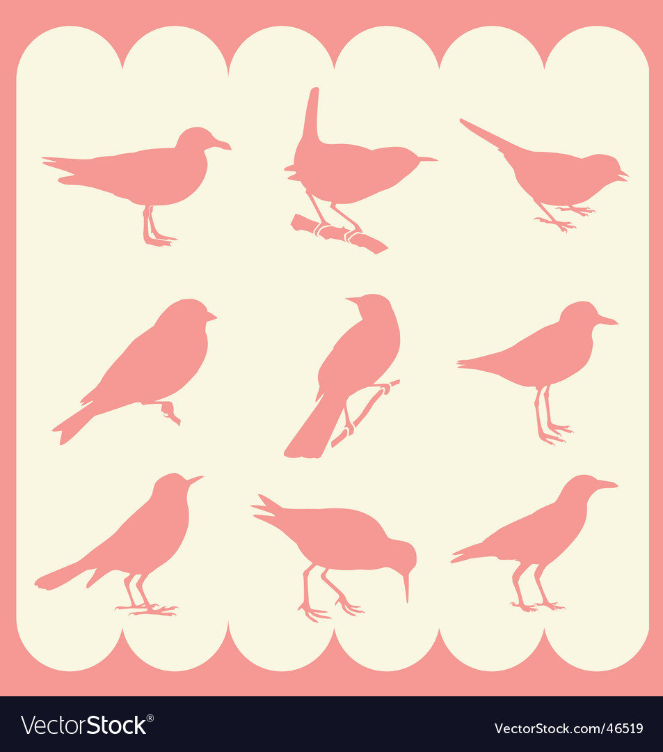 Birds Royalty Free Vector Image - VectorStock