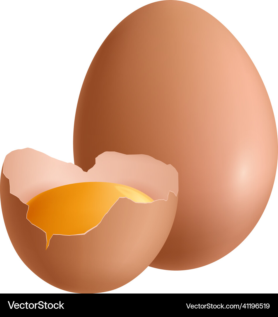 Realistic egg Royalty Free Vector Image - VectorStock