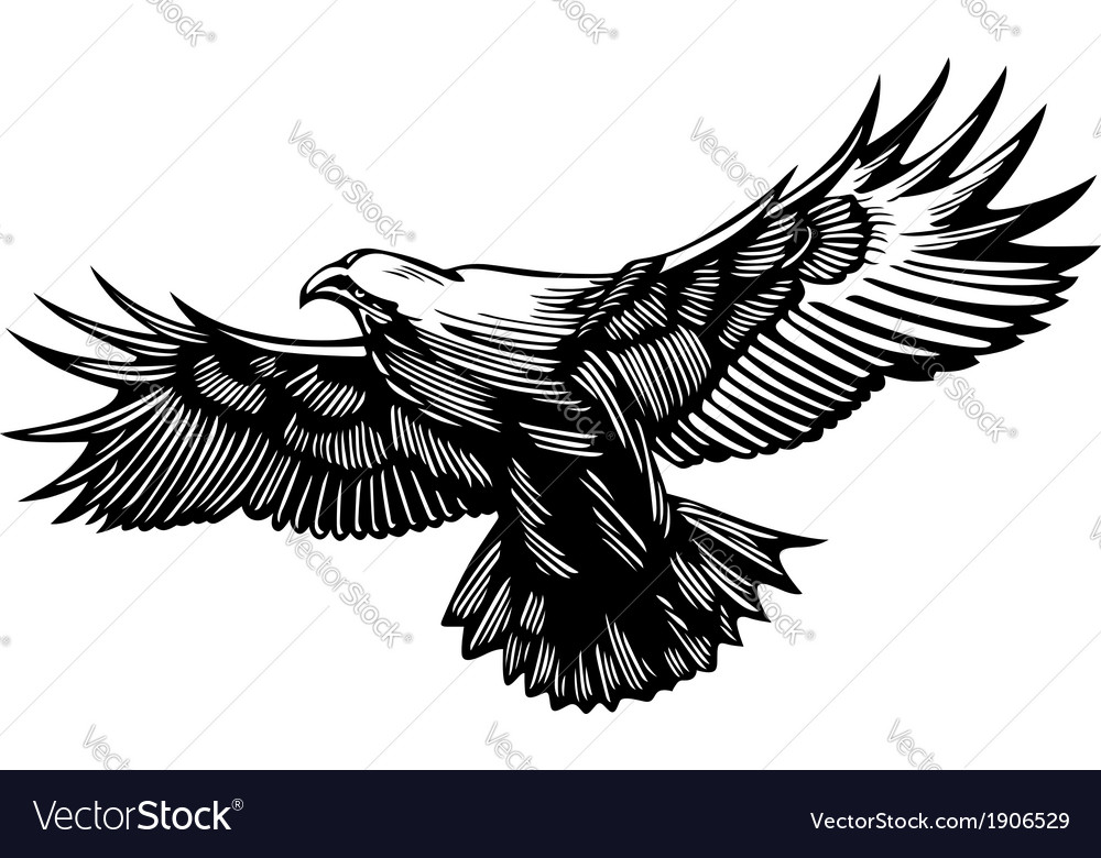 Predator Royalty Free Vector Image - VectorStock
