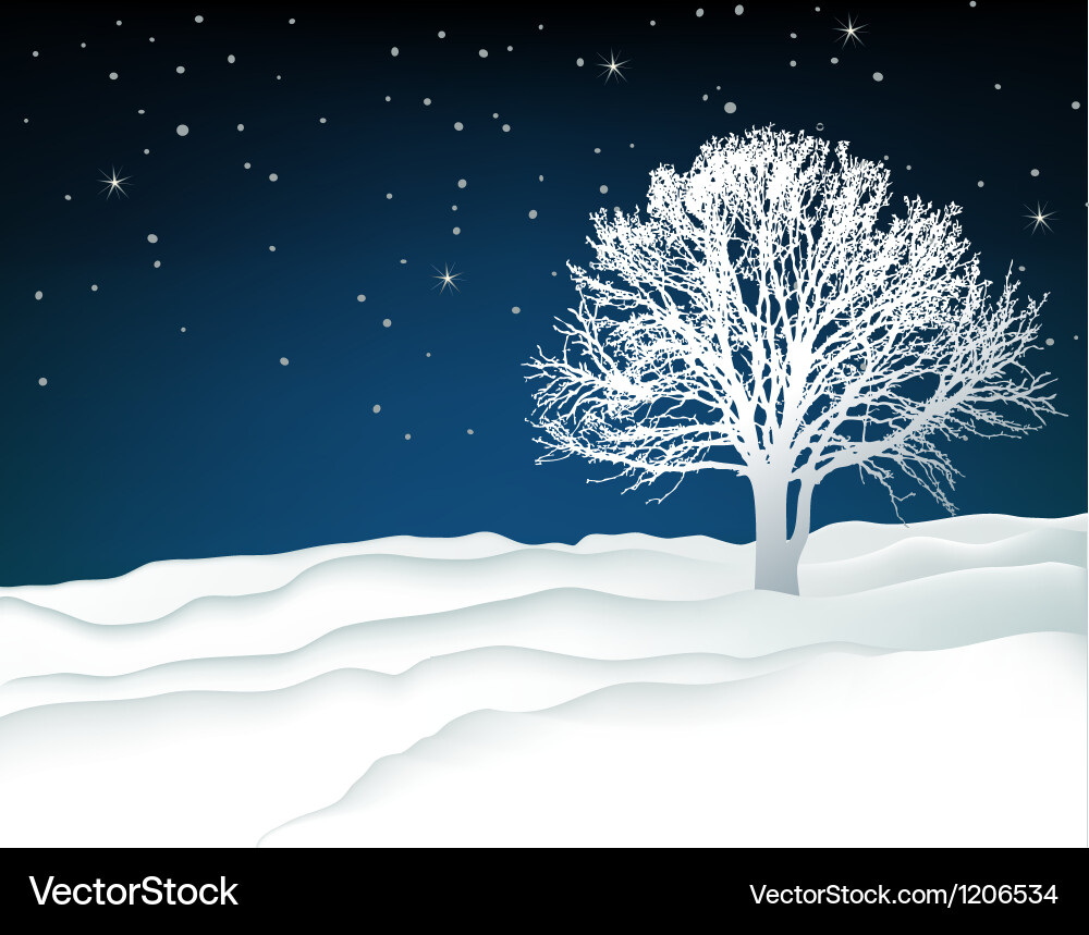 Winter lonely tree Royalty Free Vector Image - VectorStock