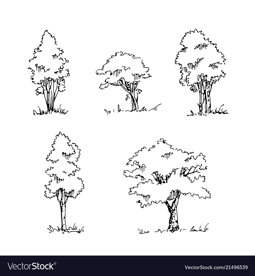 Set hand drawn architect trees Royalty Free Vector Image Set hand drawn architect trees Royalty Free Vector Image