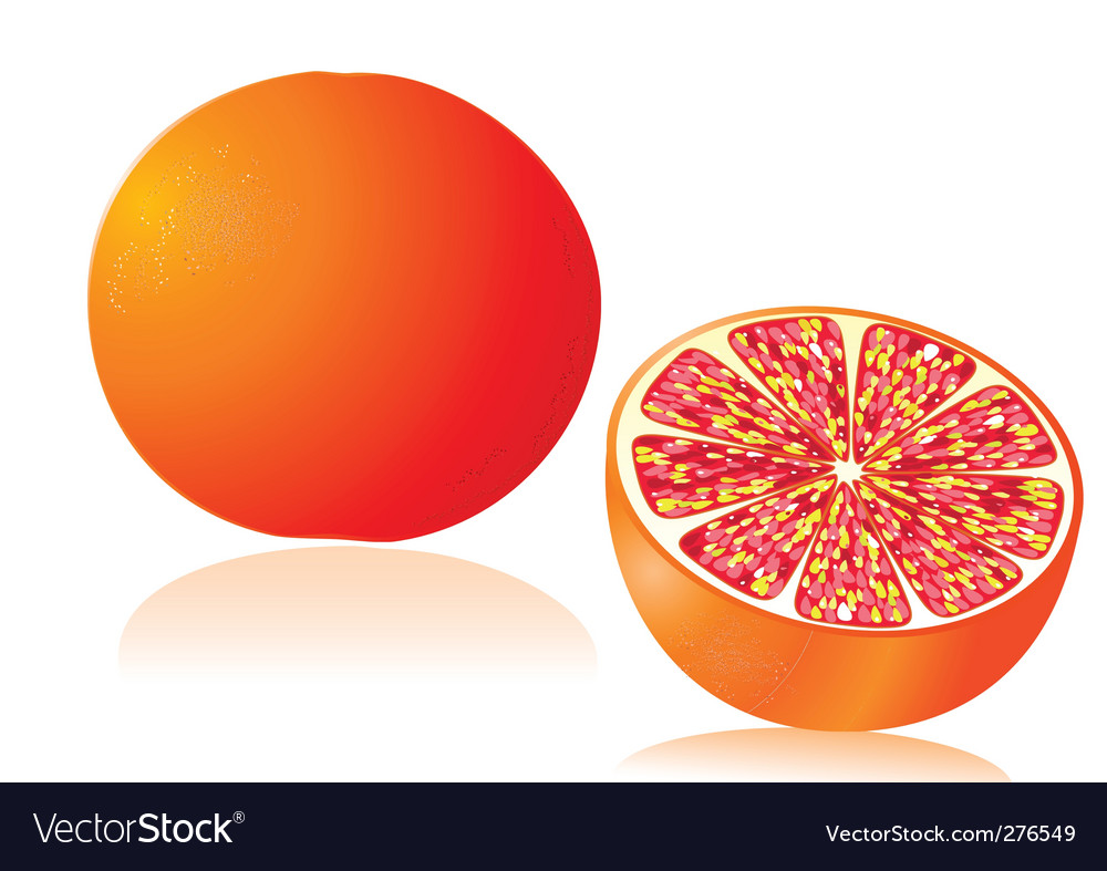 Grapefruit Royalty Free Vector Image - VectorStock