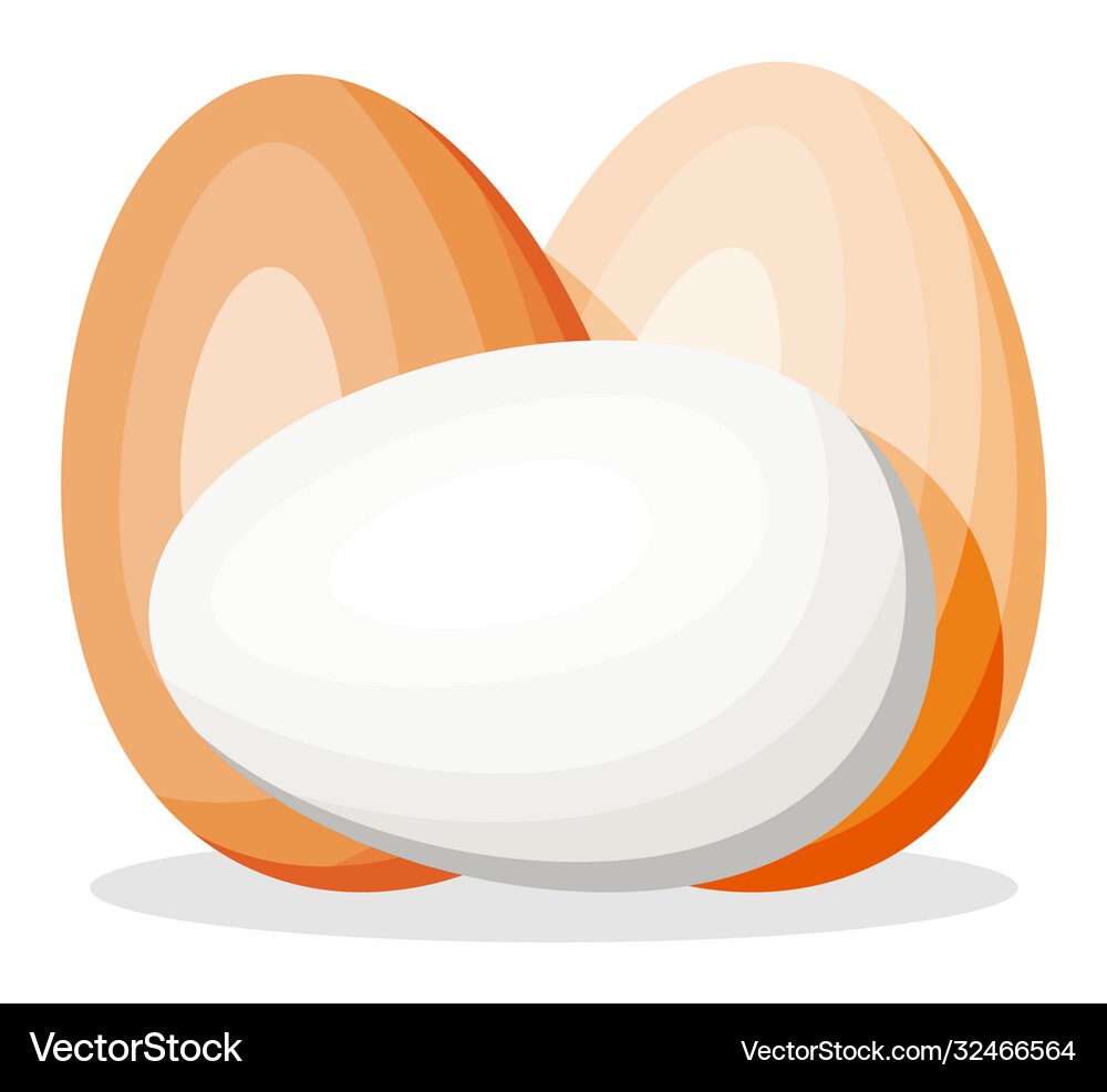 Chicken eggs isolated on white background Vector Image