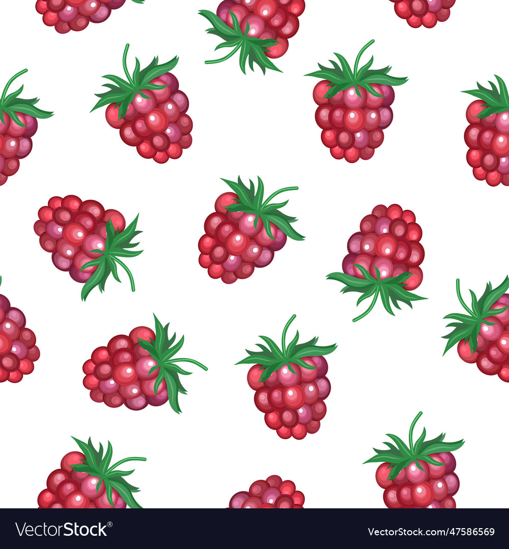 Seamless Raspberry Pattern Royalty Free Vector Image