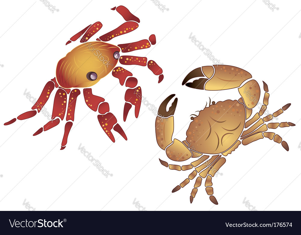 Crab Royalty Free Vector Image - VectorStock
