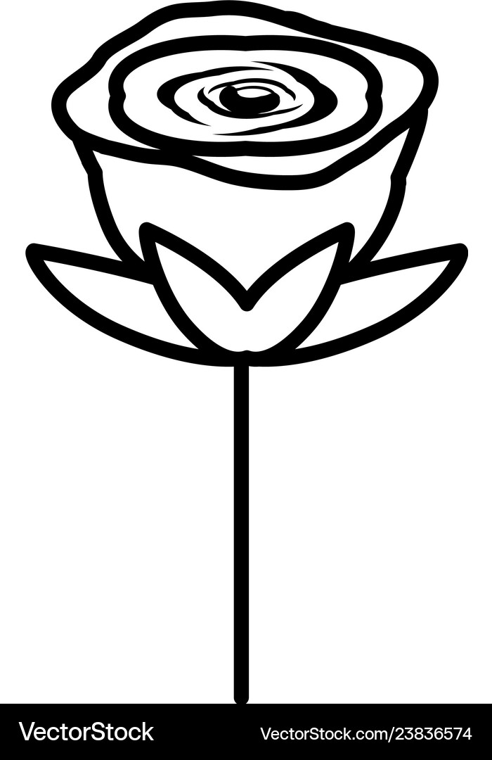 Rose flower isolated icon Royalty Free Vector Image