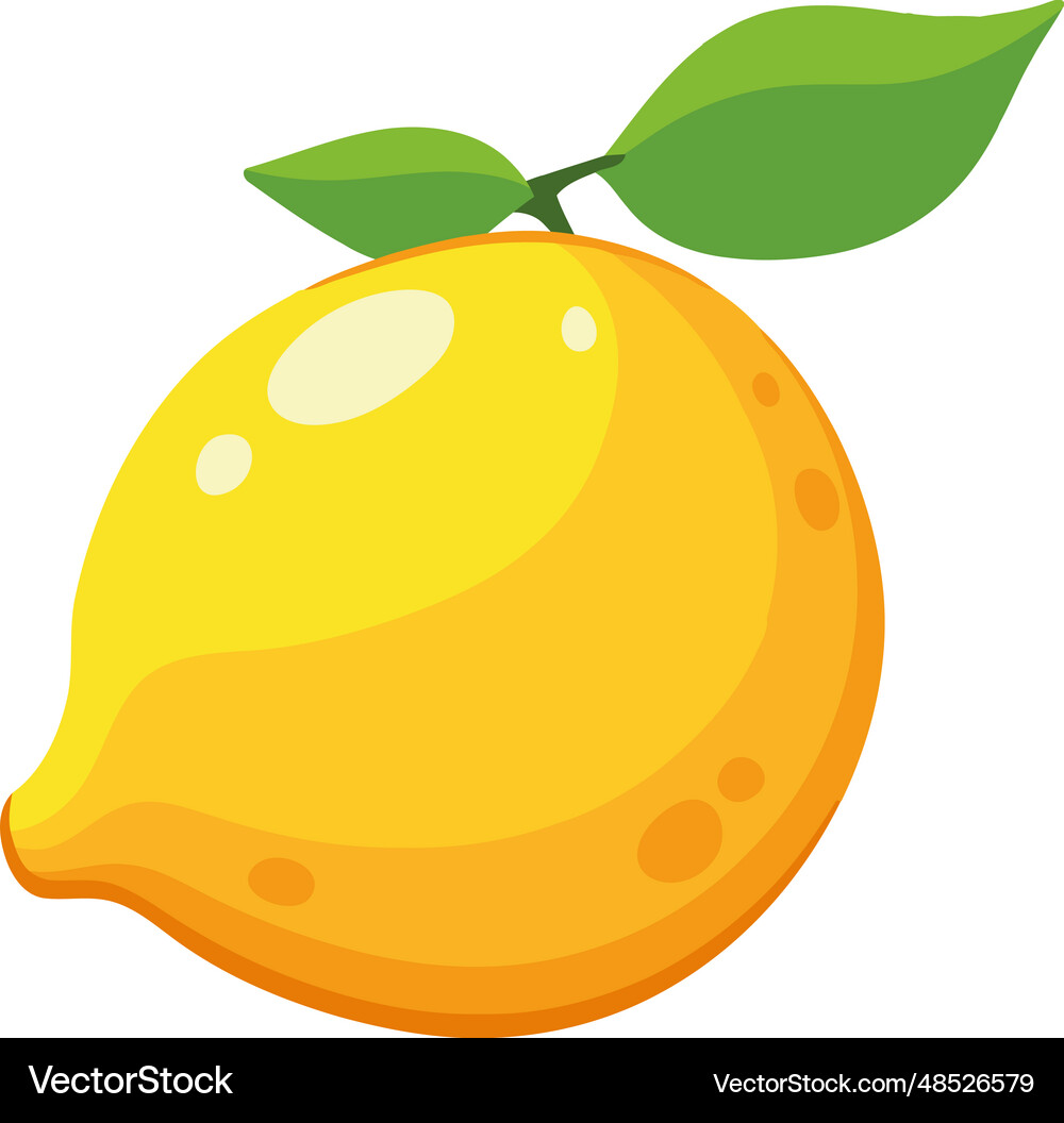 Citrus fruit and leaf icon Royalty Free Vector Image