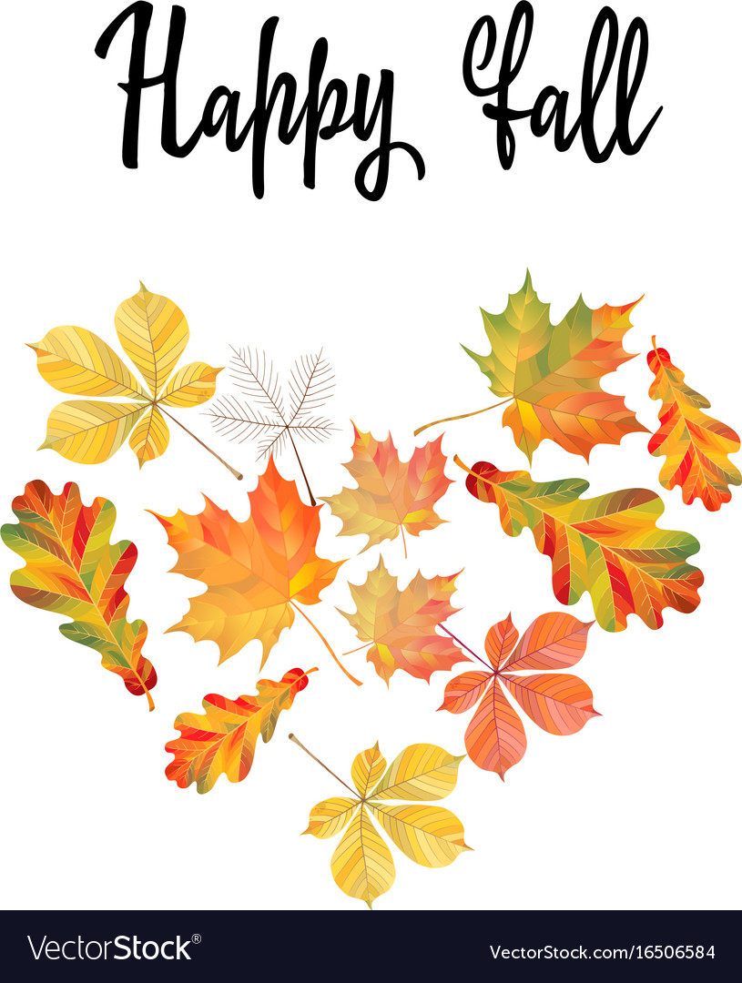 Heart of different autumn leaves Royalty Free Vector Image
