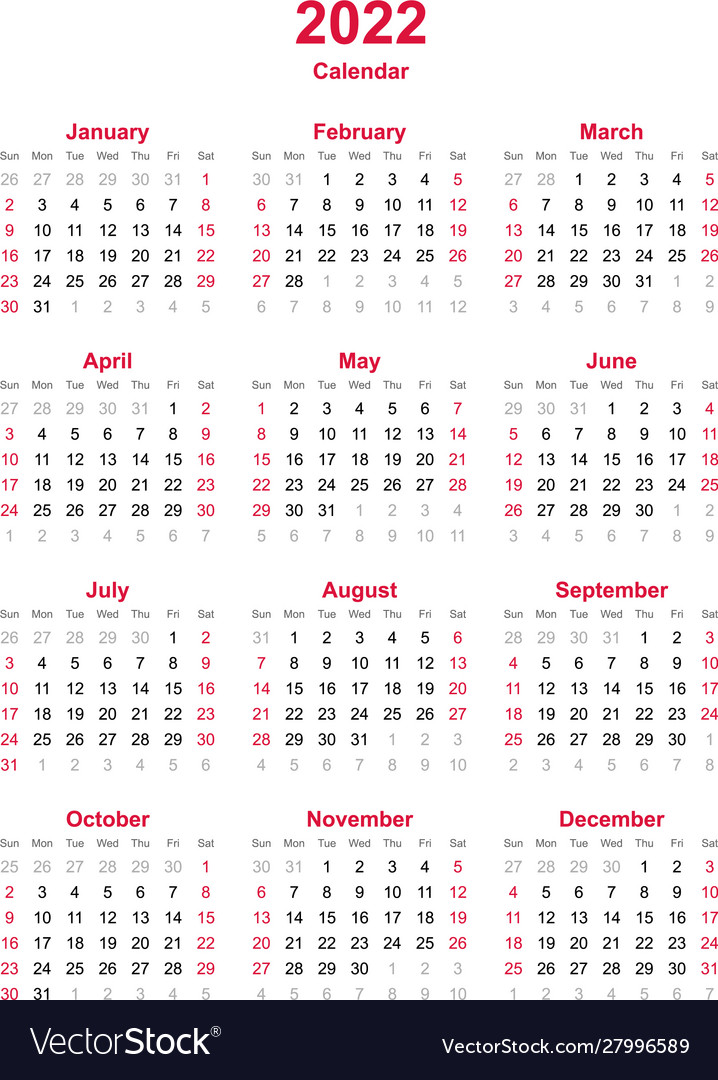 Digital 2022 12 Month Calendar Drawing Illustration Vinconnexion