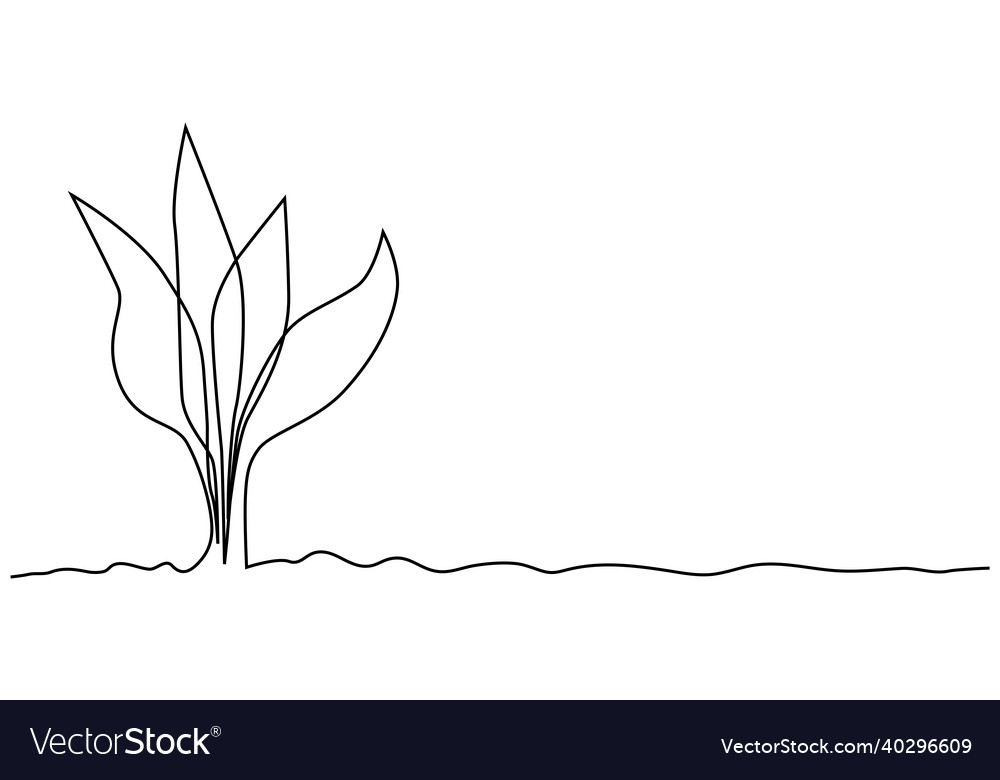 Single continuous line art growing sprout plant Vector Image