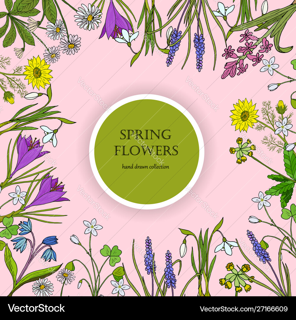 Spring flowers frame Royalty Free Vector Image