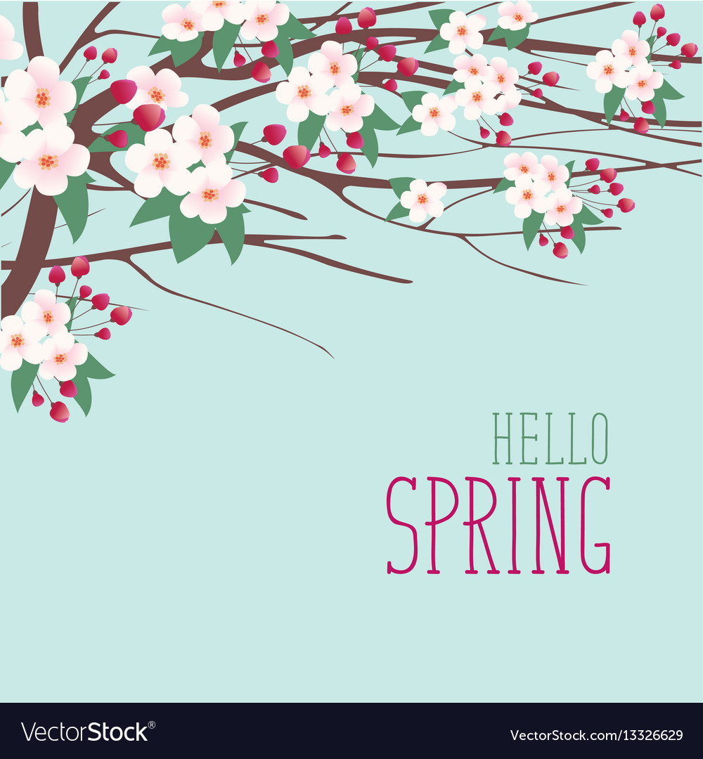 Spring landscape with branches of blooming tree Vector Image