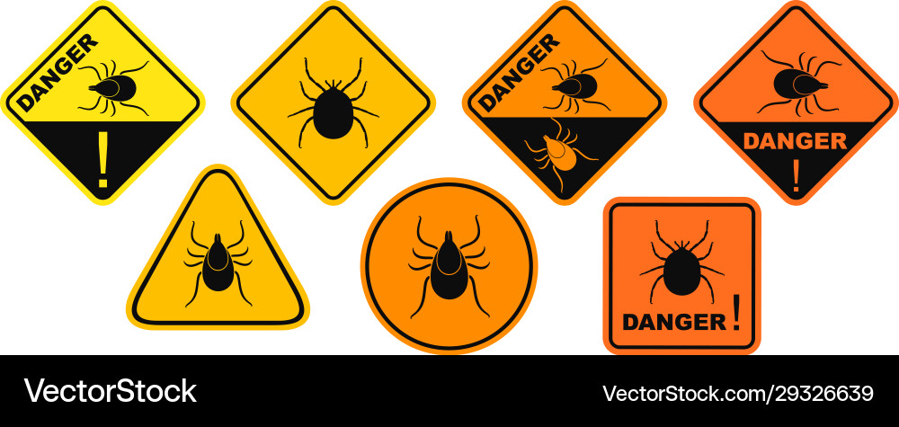 Mite Royalty Free Vector Image - VectorStock
