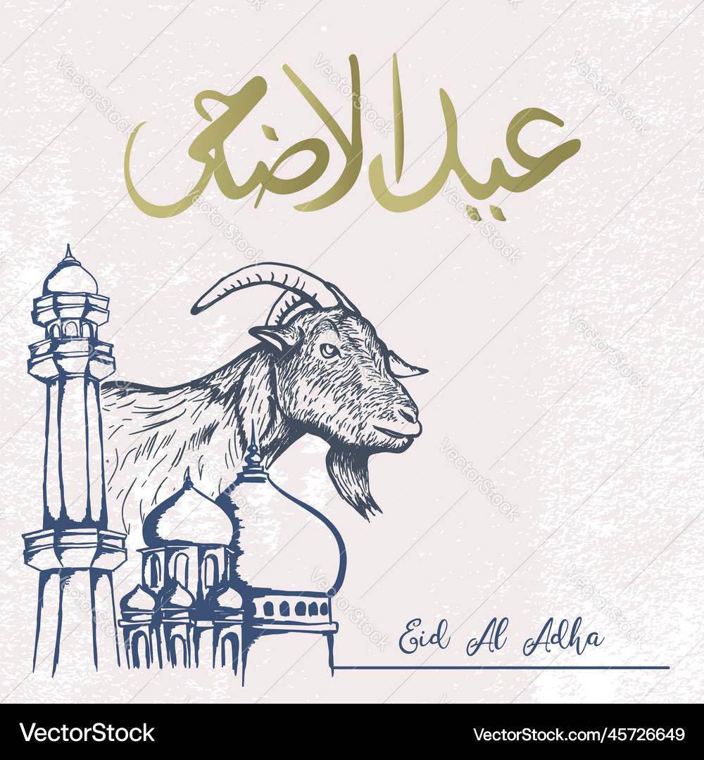 Eid al adha greeting design hand drawn goat Vector Image