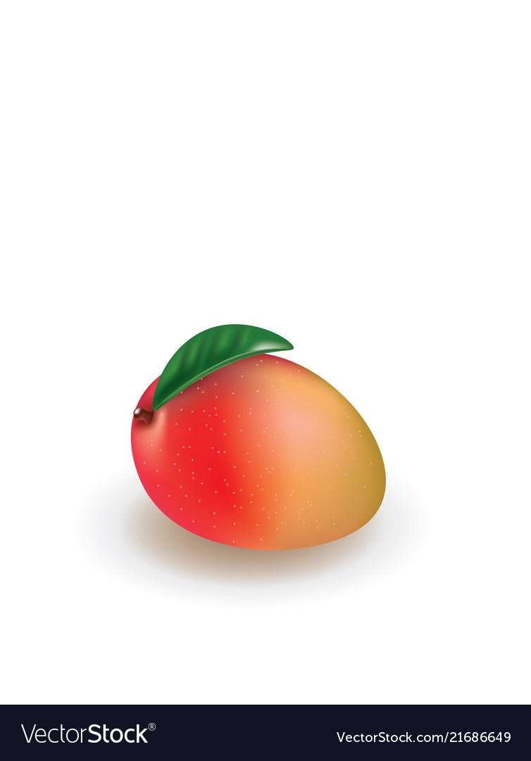 Mango Royalty Free Vector Image - VectorStock