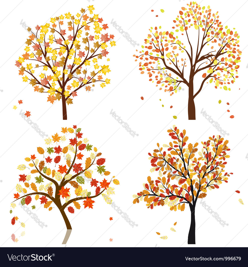 Autumn tree set Royalty Free Vector Image - VectorStock