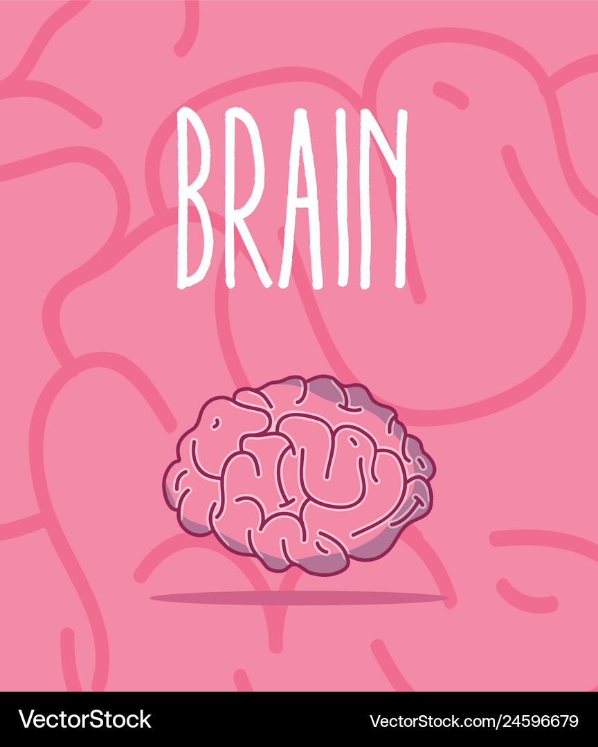 Brain and intelligence concept Royalty Free Vector Image