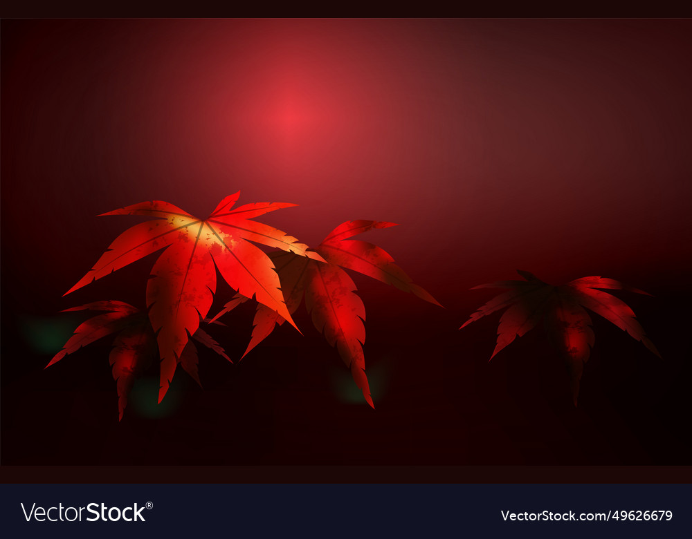 Maple leaf dark Royalty Free Vector Image - VectorStock