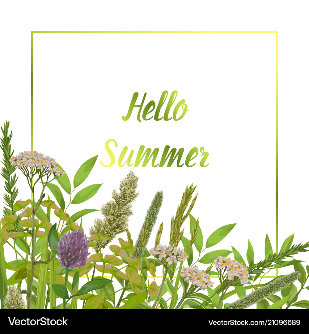 Hello summer card with greenery Royalty Free Vector Image