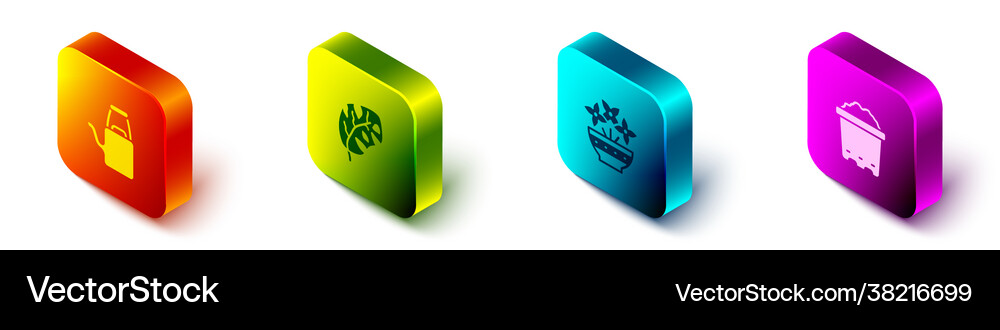 Set isometric watering can tropical leaves Vector Image