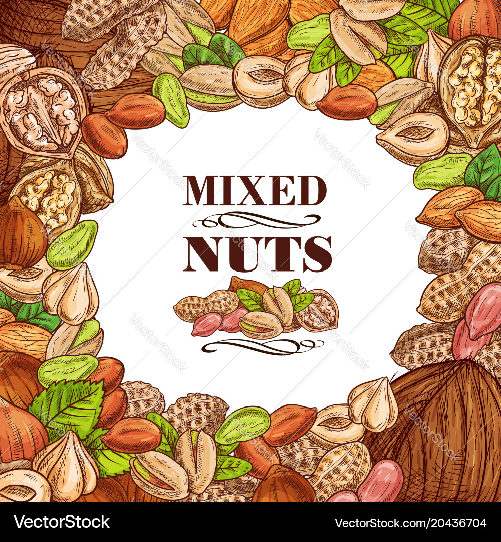 Poster nuts and fruit seeds Royalty Free Vector Image