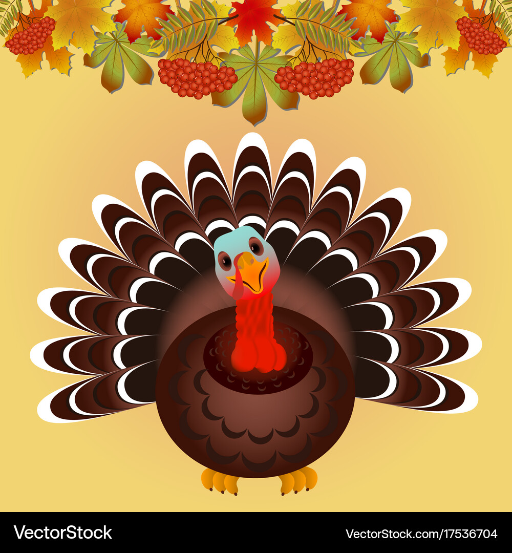 Turkey bird for happy thanksgiving celebration Vector Image
