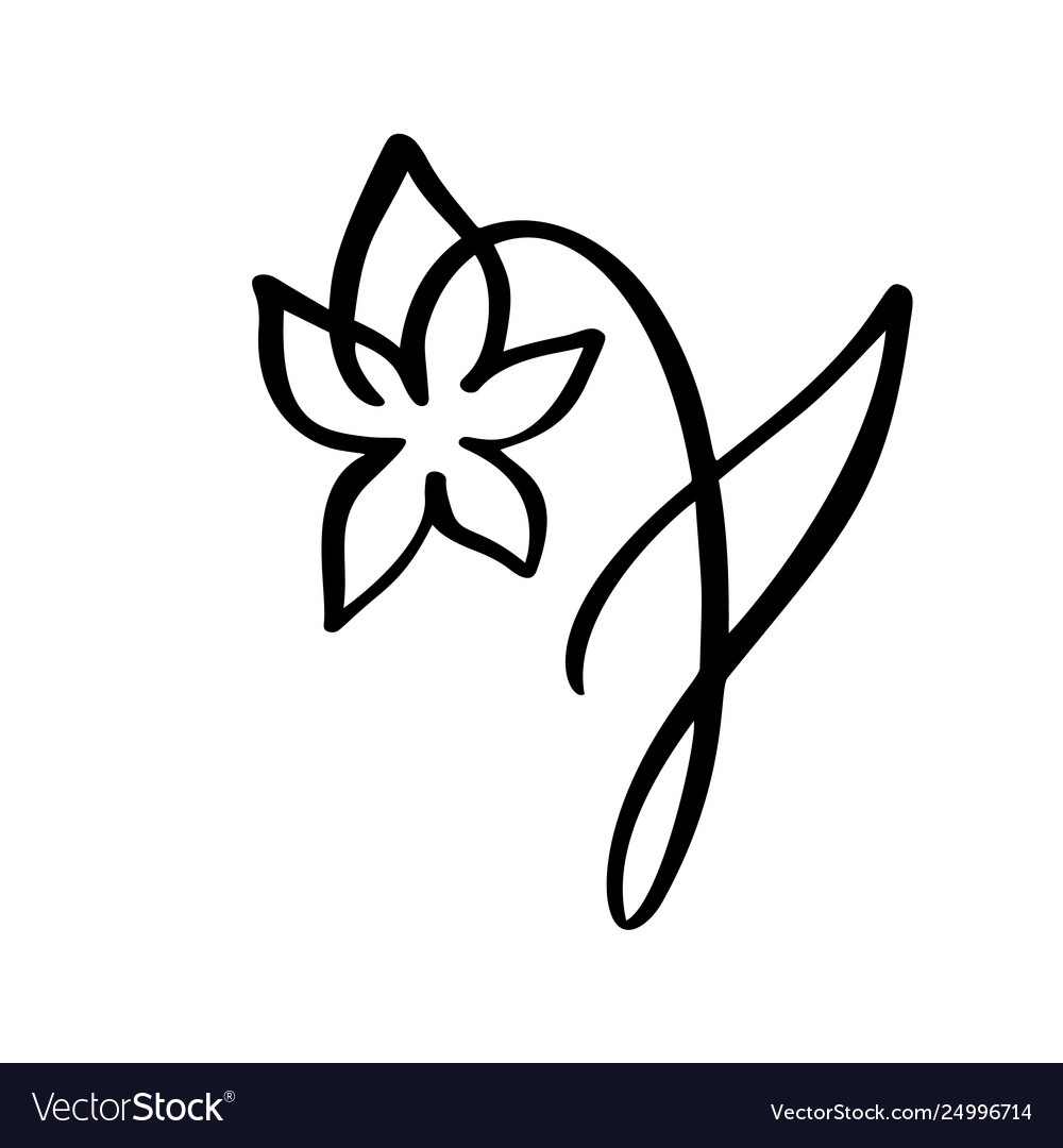 Continuous line hand drawing calligraphic Vector Image