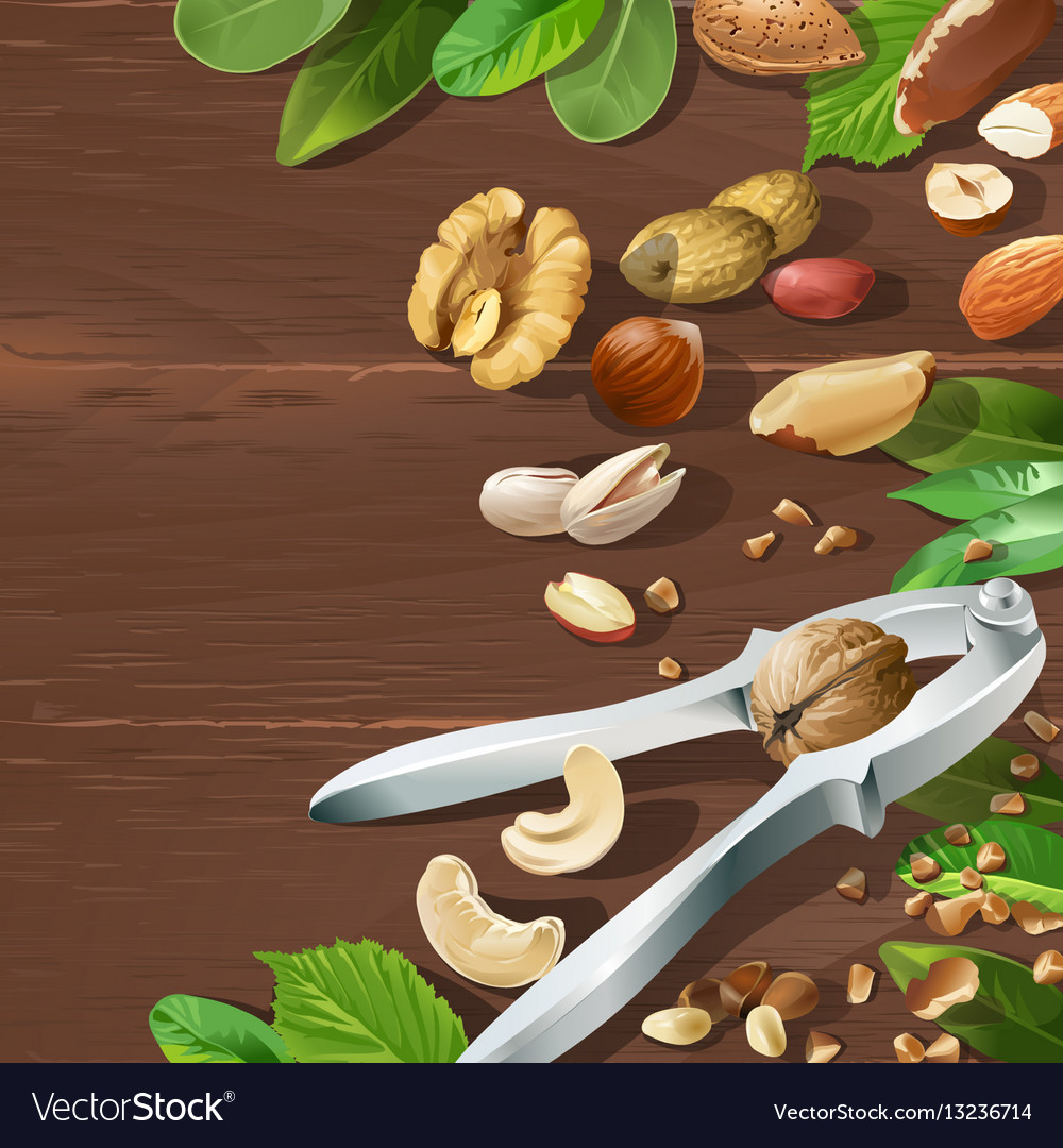 Nutcracker And Nuts Royalty Free Vector Image Vectorstock