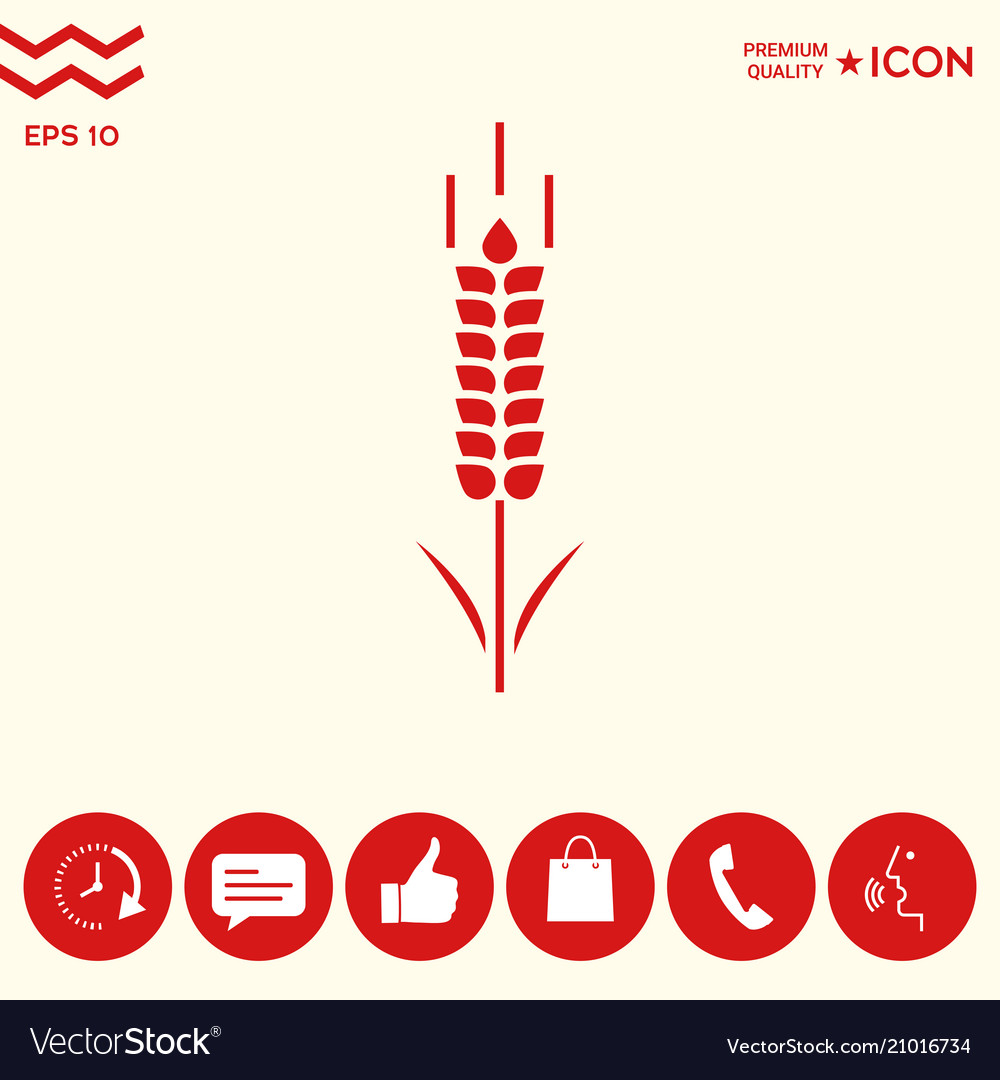 Wheat or rye spikelet symbol Royalty Free Vector Image Wheat or rye spikelet symbol Royalty Free Vector Image