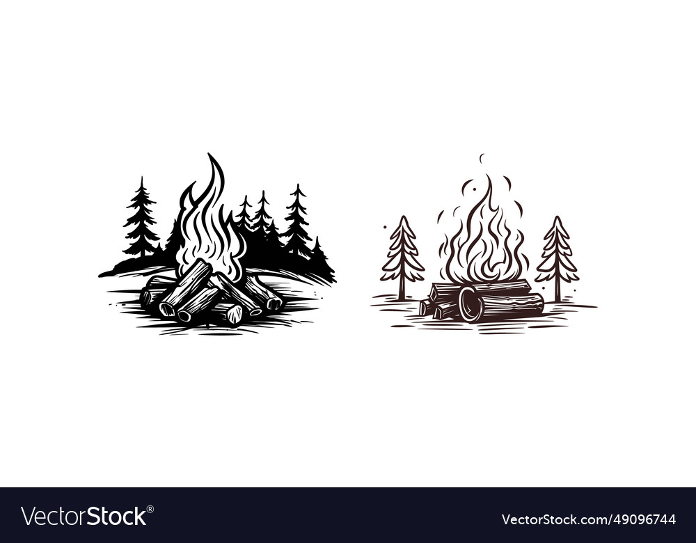 Nighttime firelight Royalty Free Vector Image - VectorStock