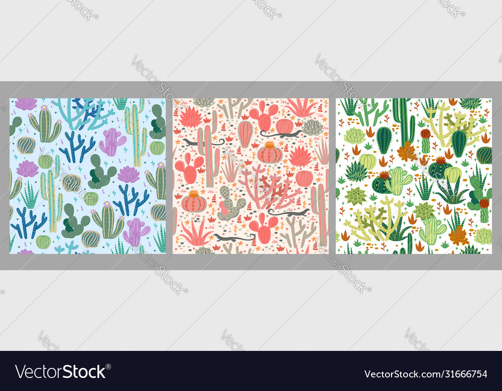 Cactus Pattern Set Royalty Free Vector Image - VectorStock