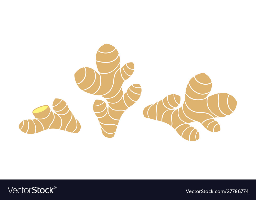 Ginger Royalty Free Vector Image - VectorStock