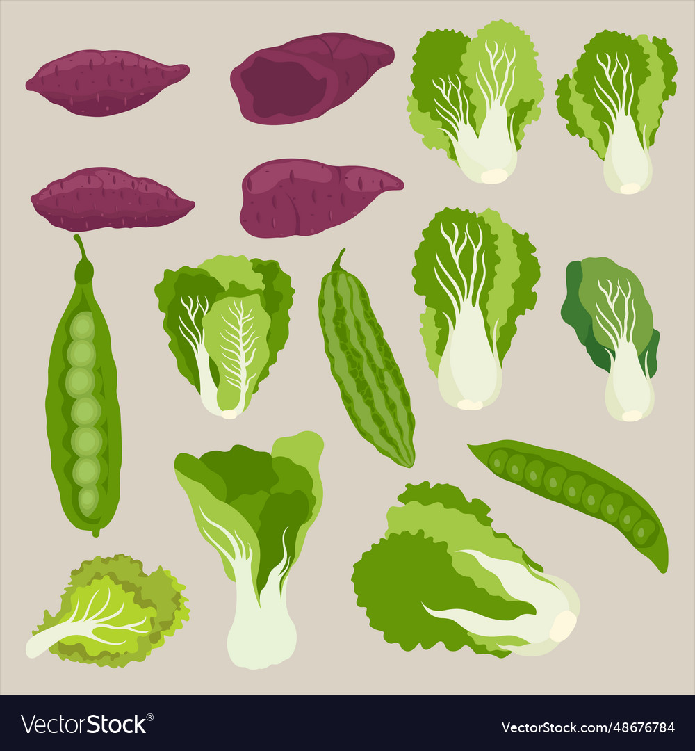 Set of vegetables collection Royalty Free Vector Image
