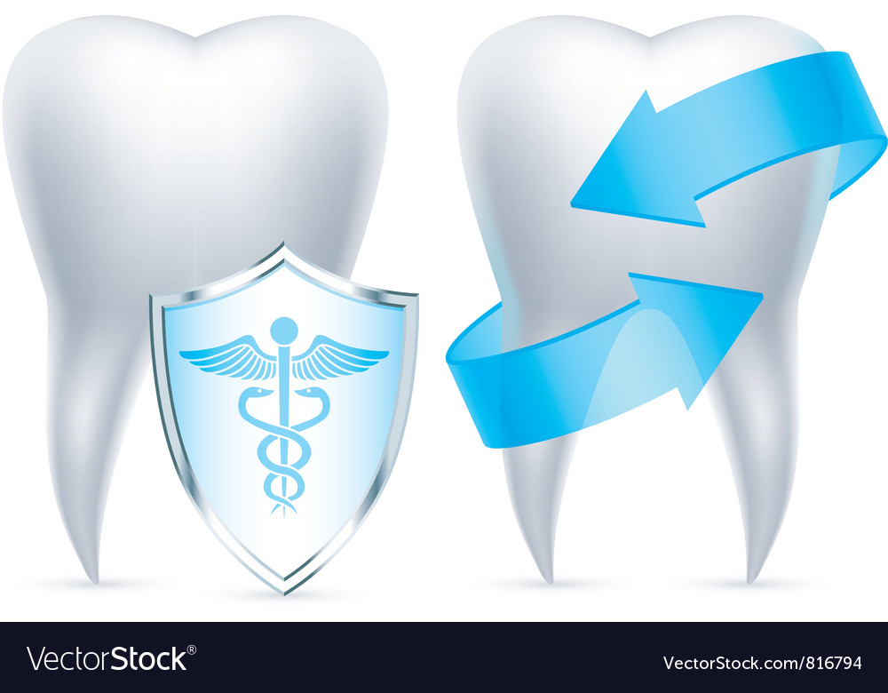 Teeth protection Royalty Free Vector Image - VectorStock