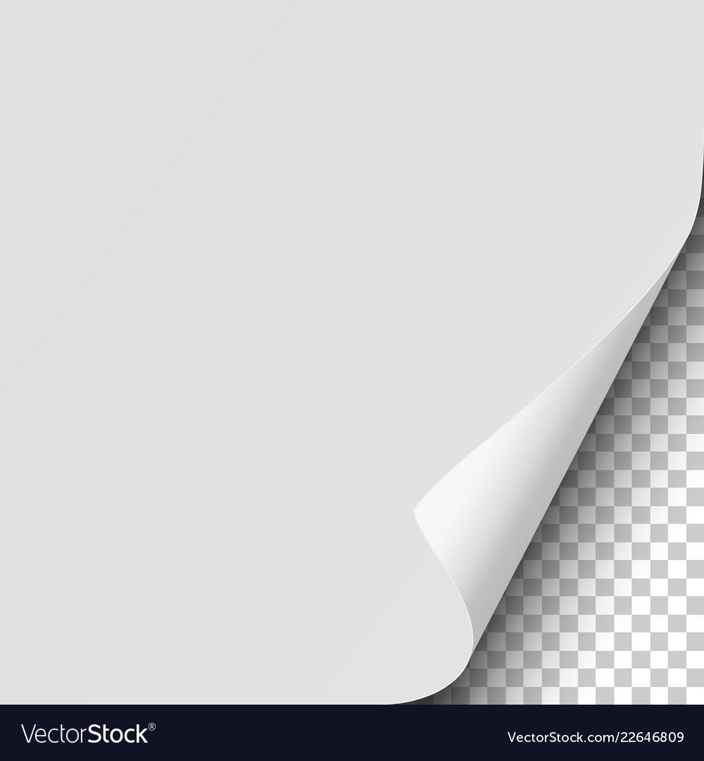 Sheet Of White Paper With Paper Curl Royalty Free Vector