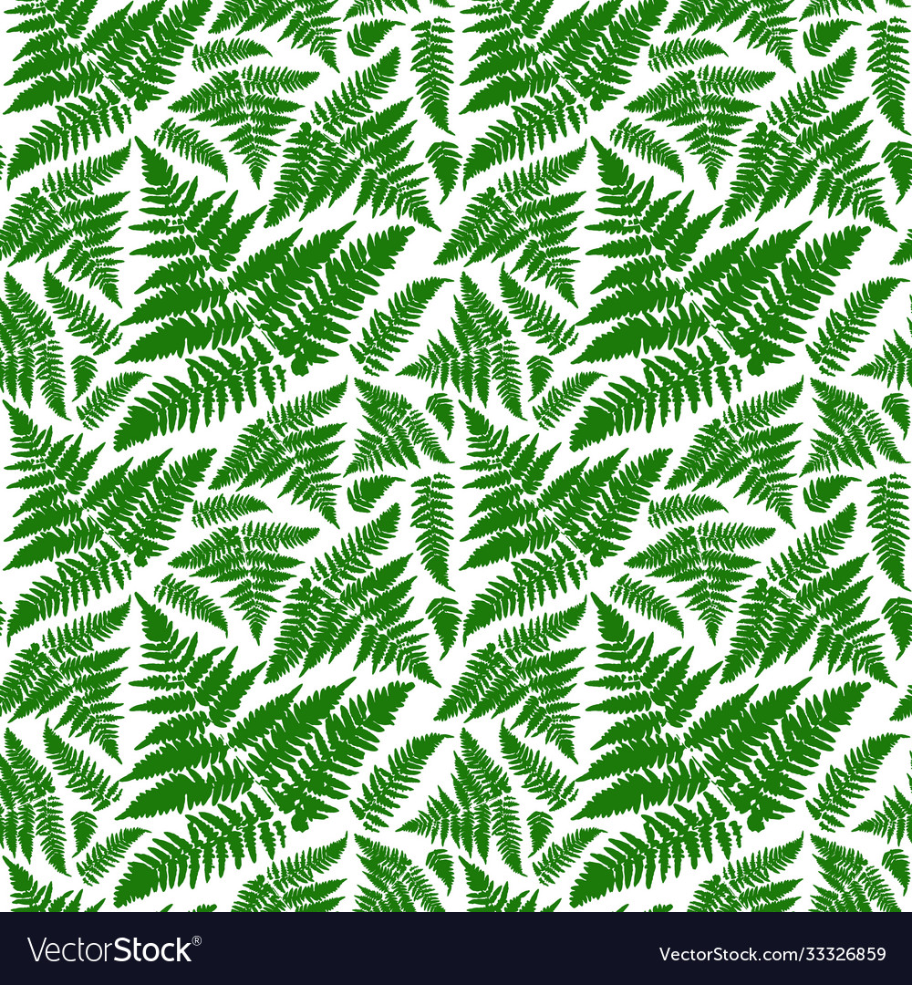 Ferns seamless pattern Royalty Free Vector Image