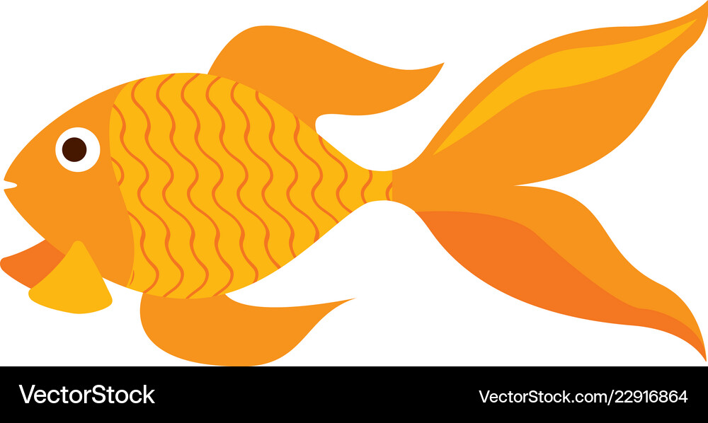 Goldfish on white background Royalty Free Vector Image