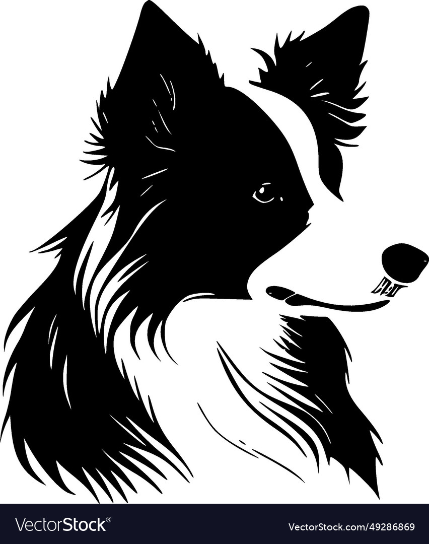 Border Collie Black And White Isolated Icon Vector Image