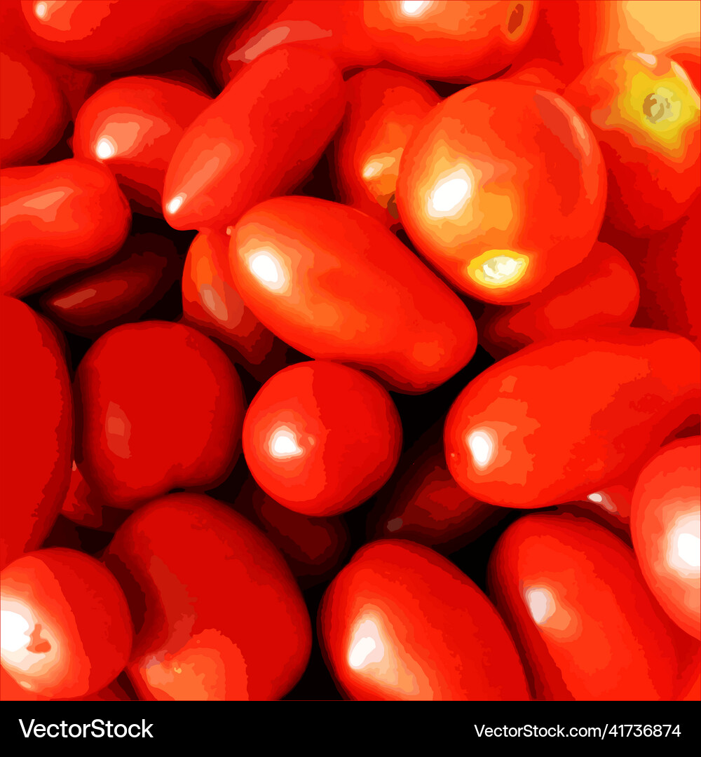 Background with the image of red tomatoes Vector Image