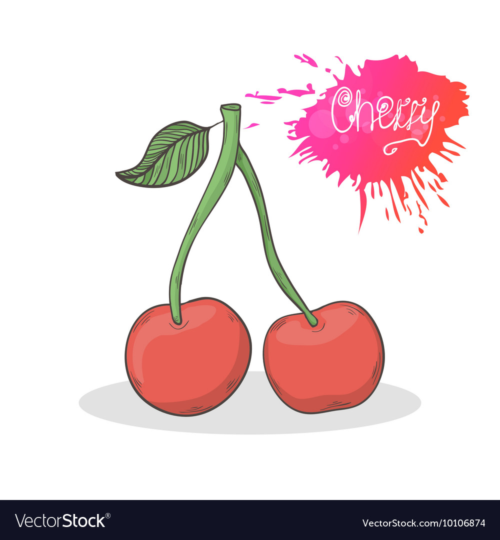 Cherry Royalty Free Vector Image - VectorStock
