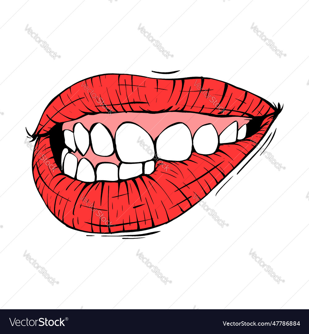 Red Female Lips Sketch Line Art Royalty Free Vector Image