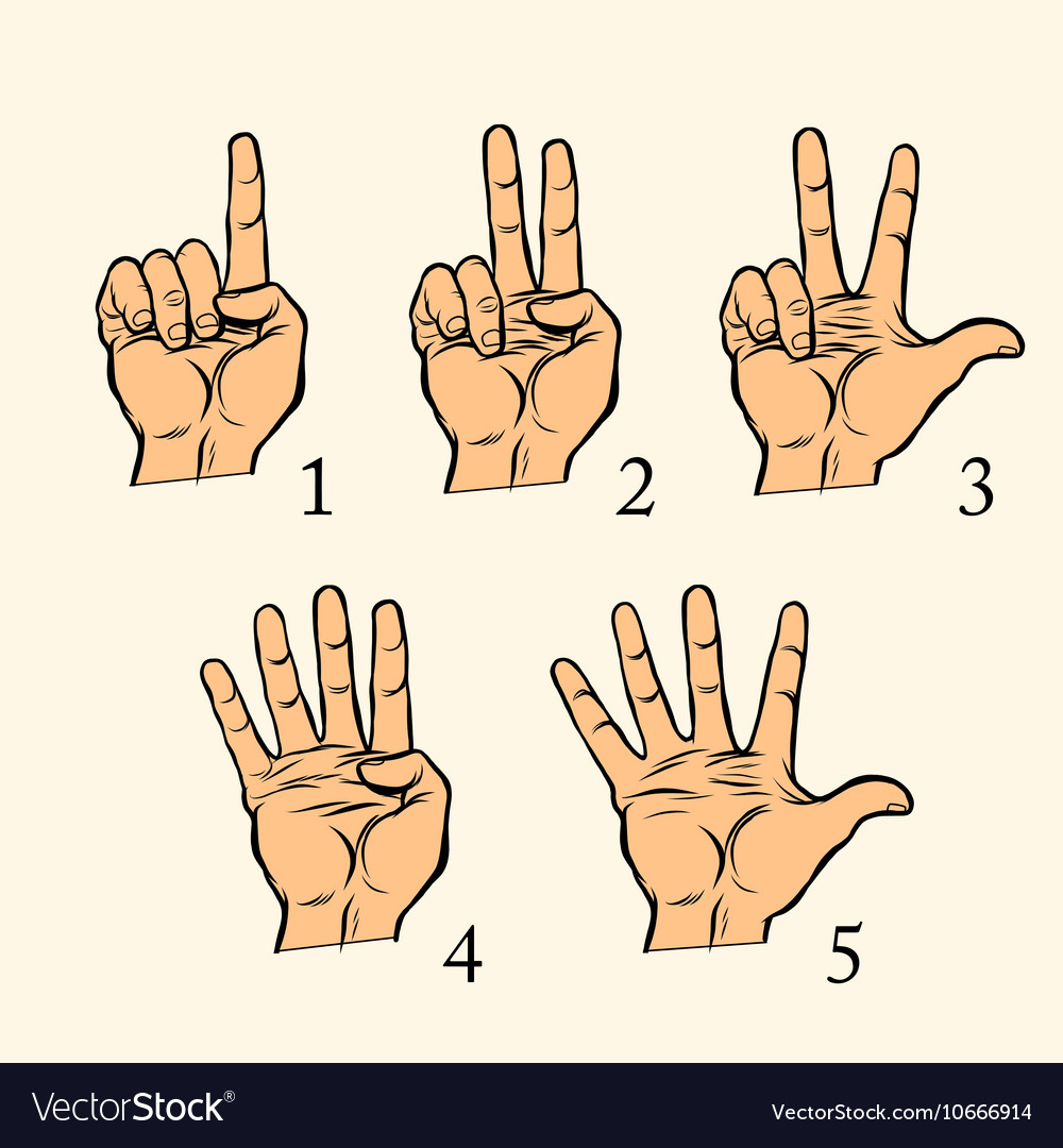 Set of hand gestures count 1 2 3 4 and 5 Vector Image