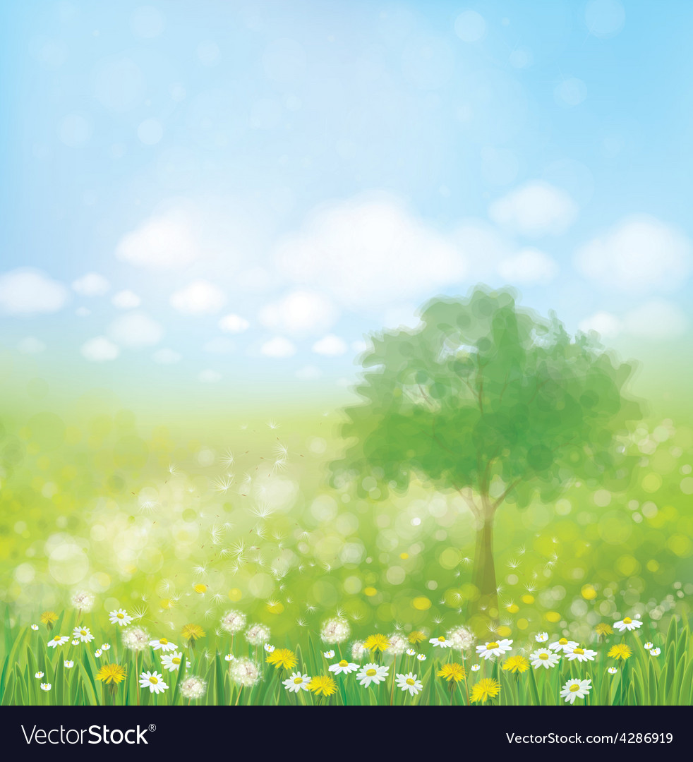 Spring tree Royalty Free Vector Image - VectorStock